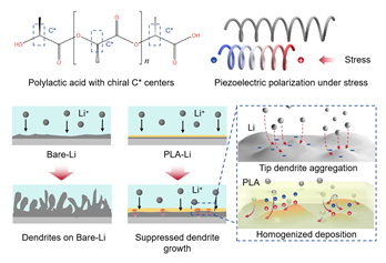 2024年学术成果 - 周光敏课题组