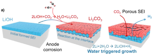 2025年学术成果 - 周光敏课题组