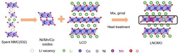 2022年学术成果 - 周光敏课题组
