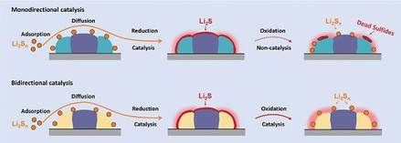 2020年学术成果 - 周光敏课题组